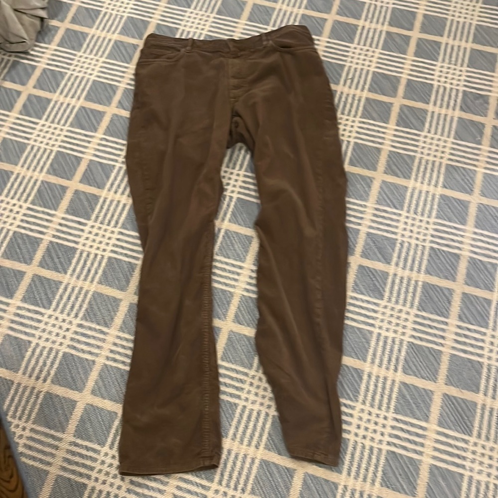 Brown Corduroy Polo Pants - Gem
